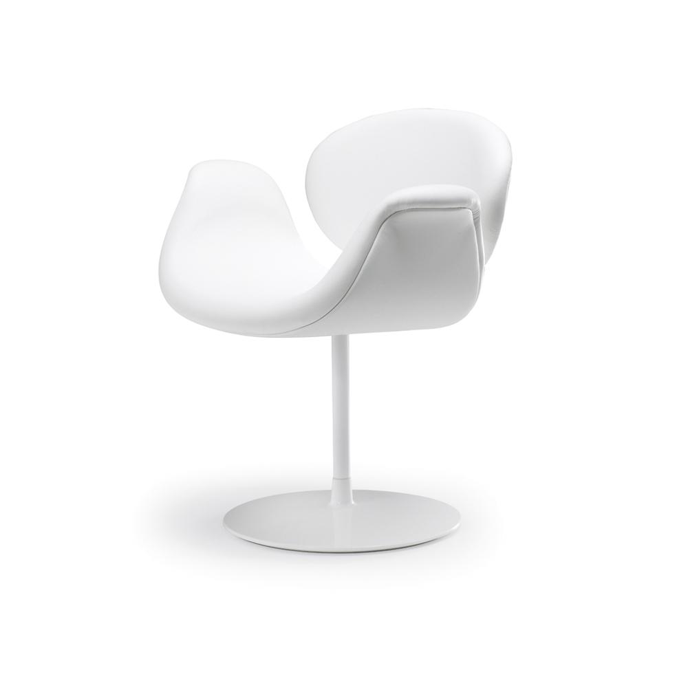 Little Tulip Chair With Disc Base - CA Modern Home