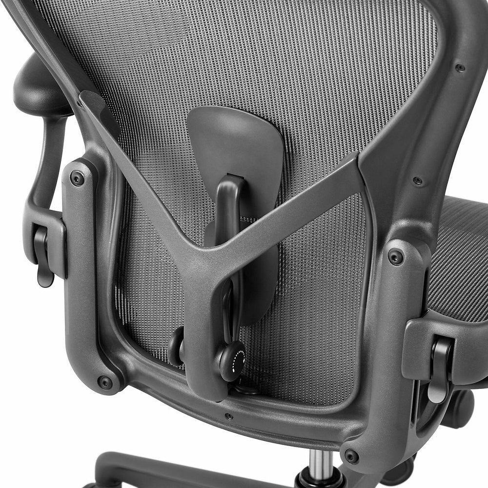 Aeron Adjustable PostureFit SL Support Kit - CA Modern Home